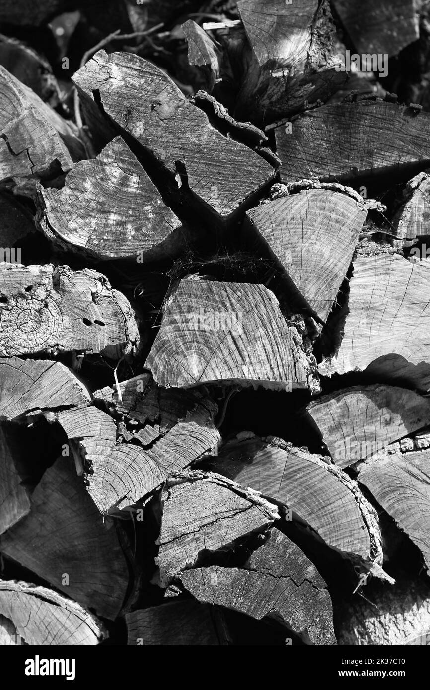 Full frame of a pile of logs stacked high Ina black and white ...