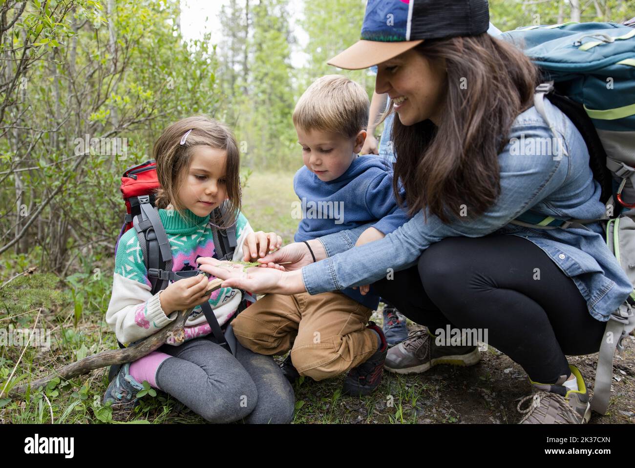 Children plants forest hi-res stock photography and images - Alamy