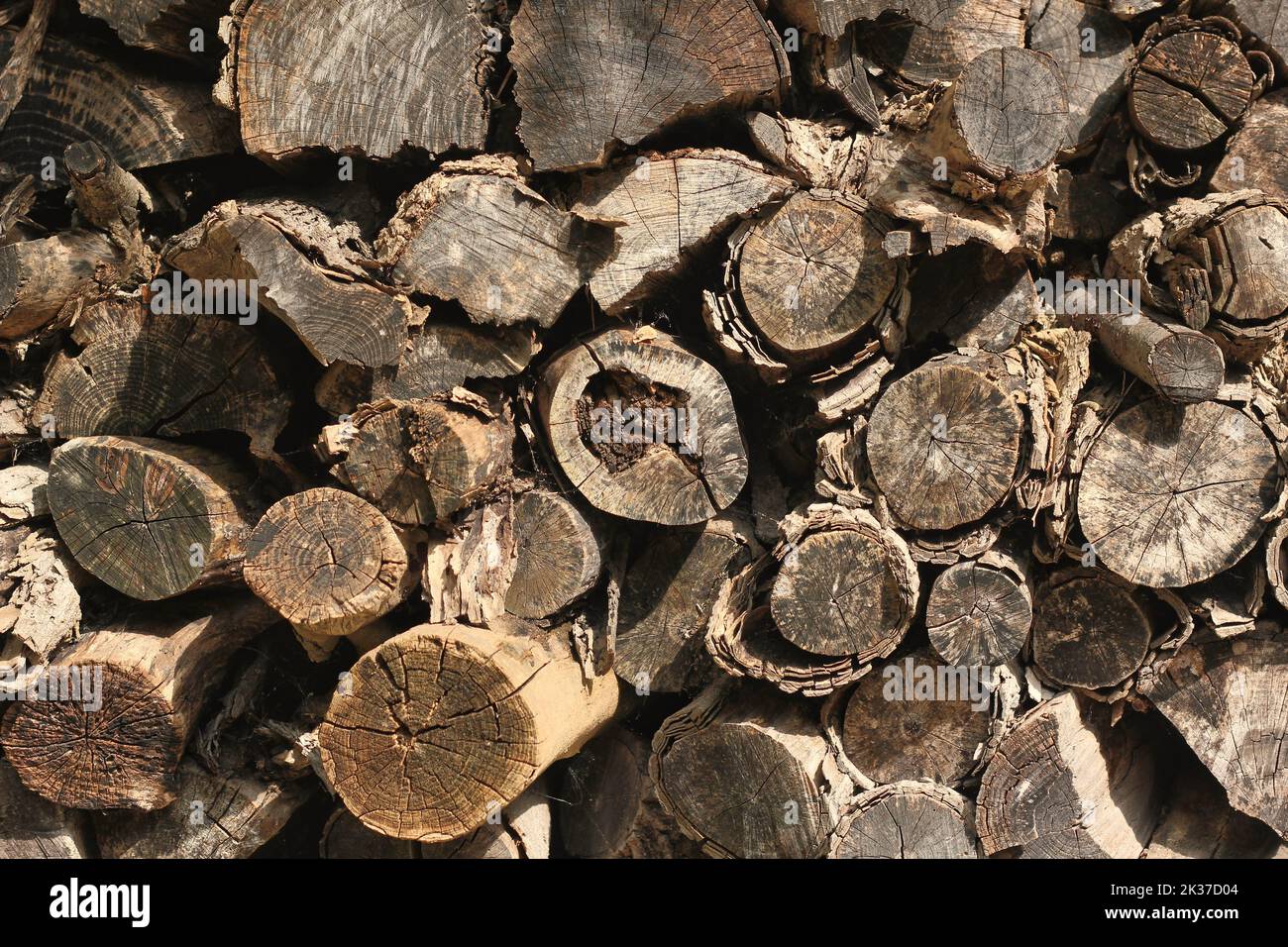 Full frame of a pile of logs stacked high Stock Photo - Alamy