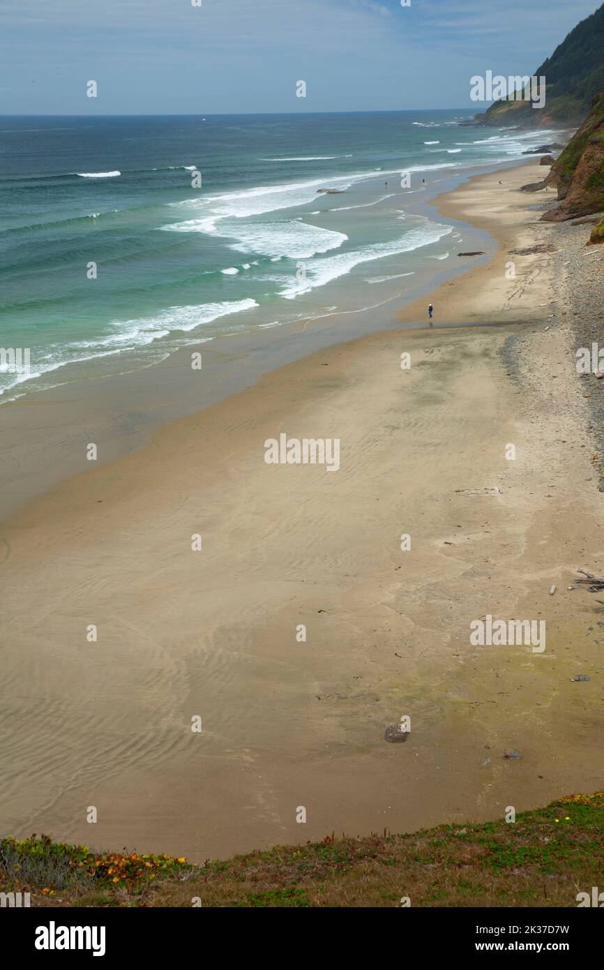 Beach at Strawberry Hill, Neptune State Park, Oregon Stock Photo - Alamy
