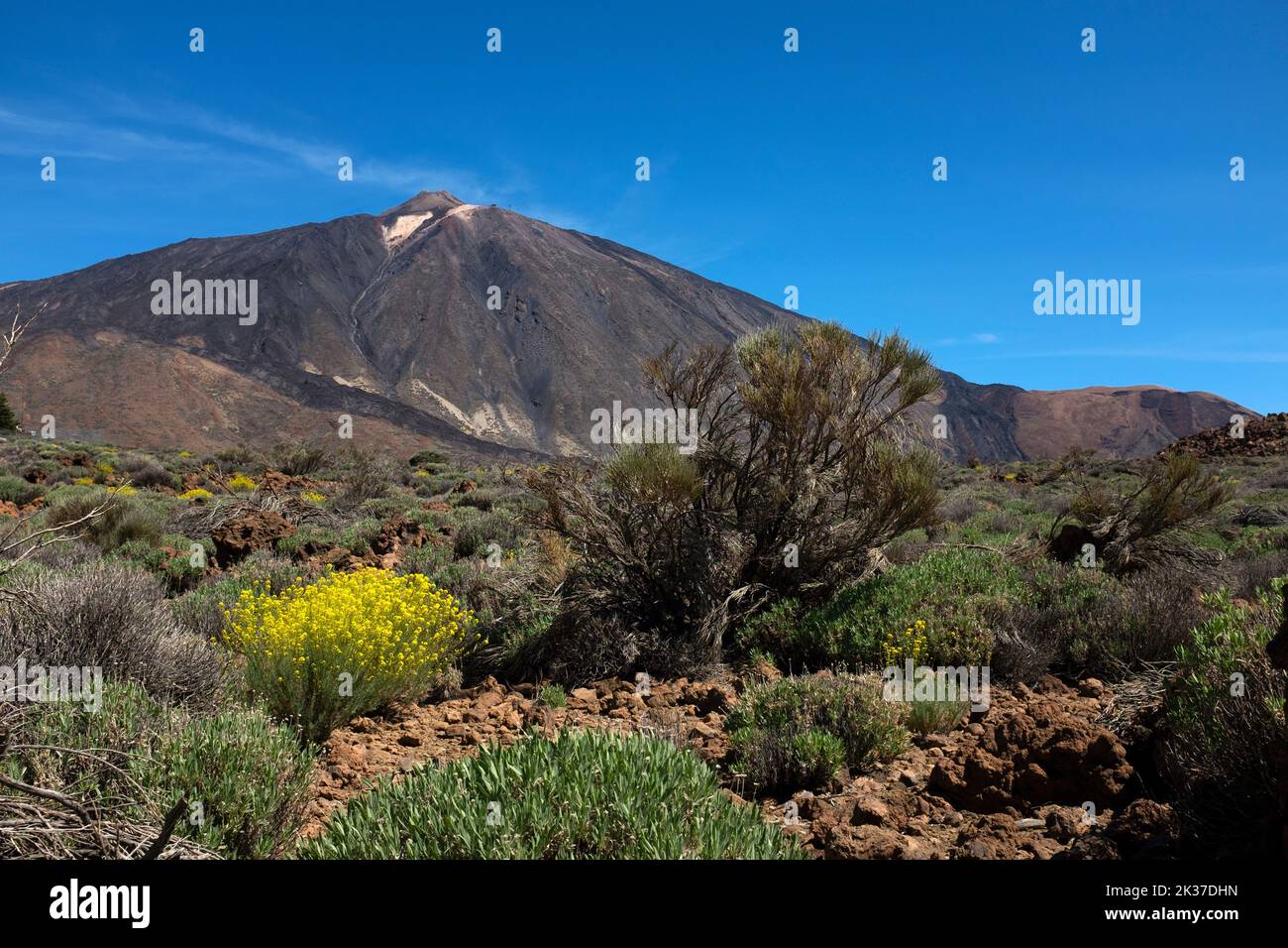 Mount Teide, Tenerife, Canary Islands Stock Photo - Alamy