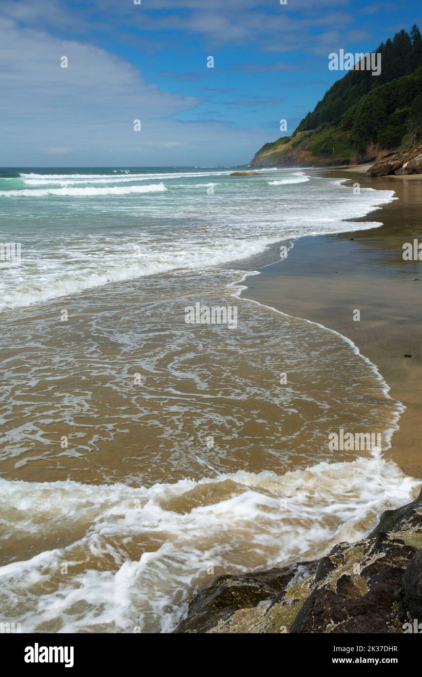 Beach at Strawberry Hill, Neptune State Park, Oregon Stock Photo - Alamy