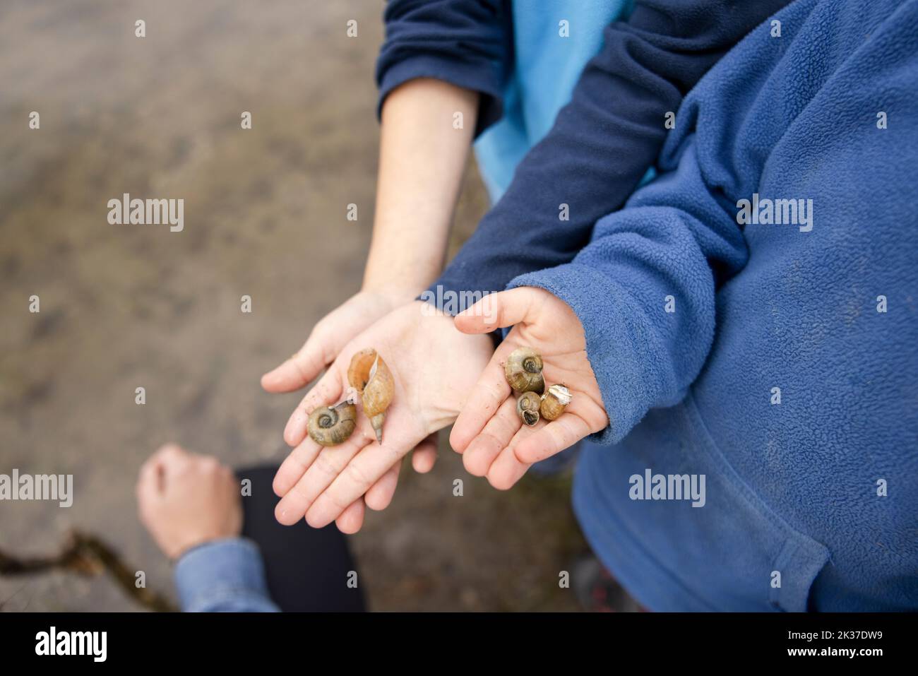 Discover children hi-res stock photography and images - Alamy