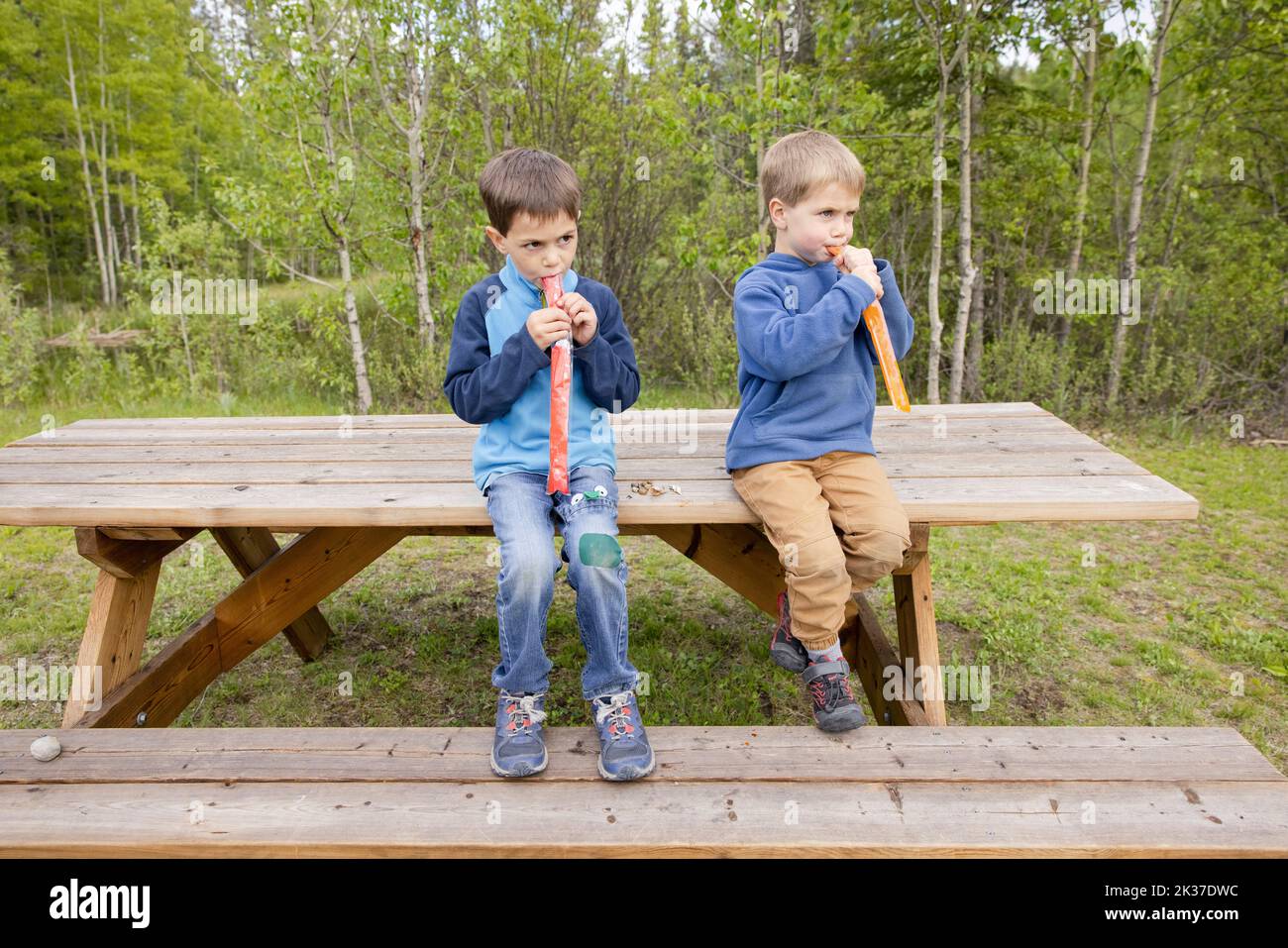 Child eating picnic woods hi-res stock photography and images - Alamy