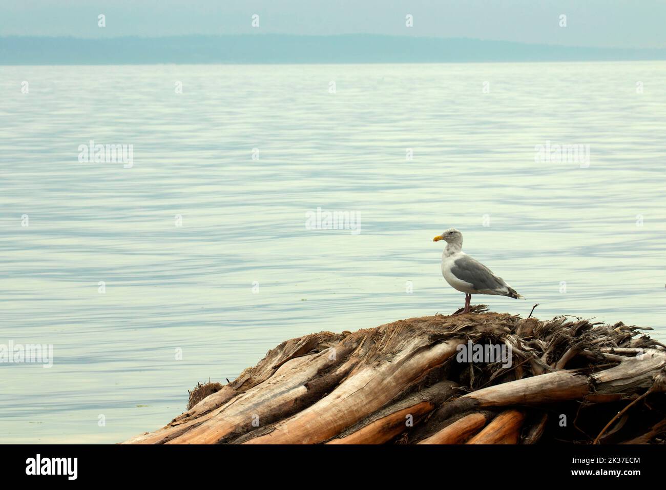 Cedar point county park hi-res stock photography and images - Alamy