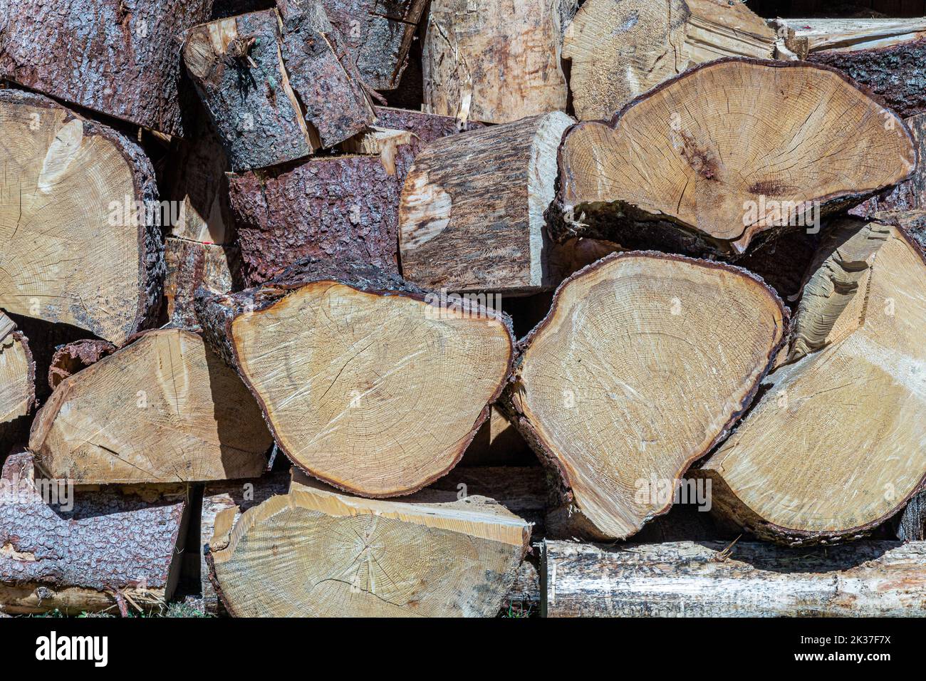 A stack wall of wooden logs texture background Stock Photo - Alamy