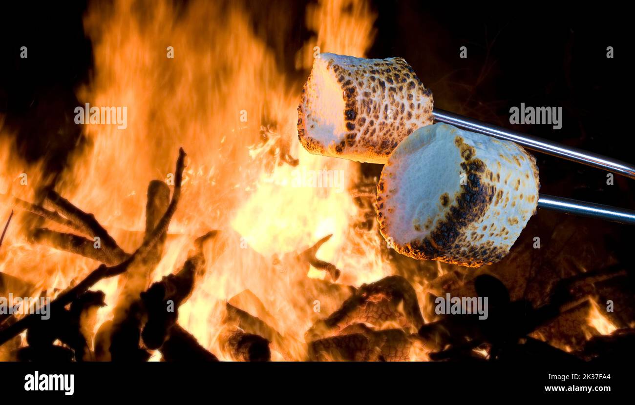 Two marshmallows being roasted over a campfire to make smores Stock ...