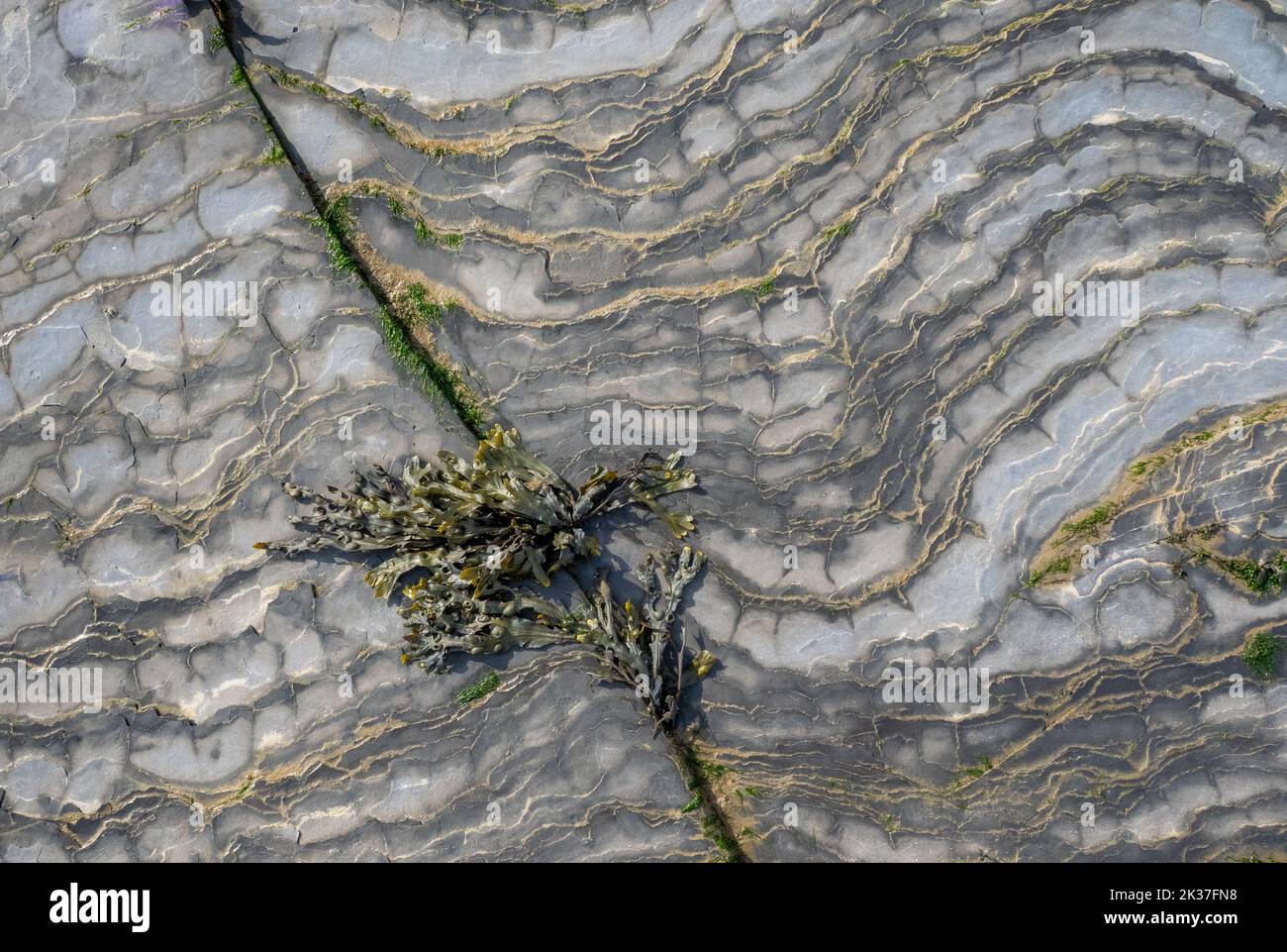 Lias shales hi-res stock photography and images - Alamy