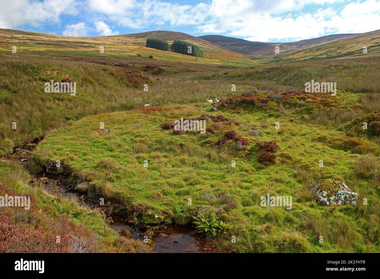 Berwyn mountains above Llandrillo Stock Photo - Alamy