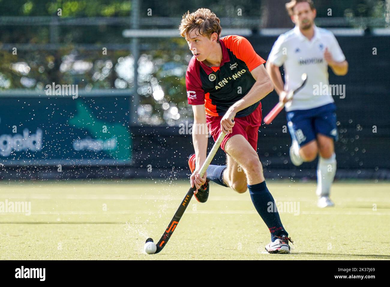 Teiwes hi-res stock photography and images - Alamy