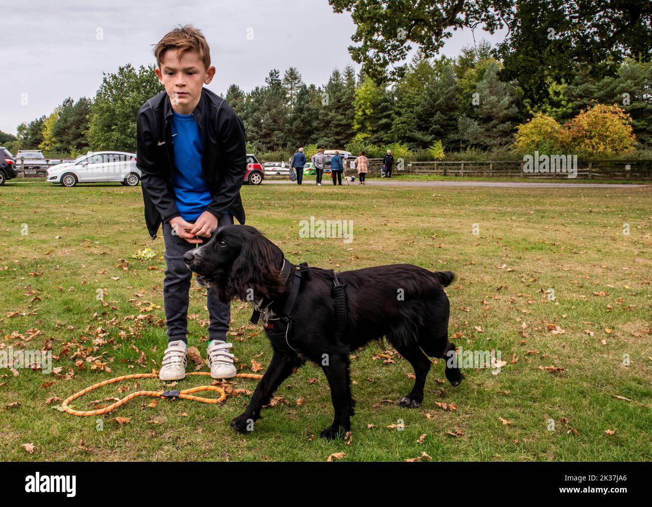 Follifoot north yorkshire hi-res stock photography and images - Alamy