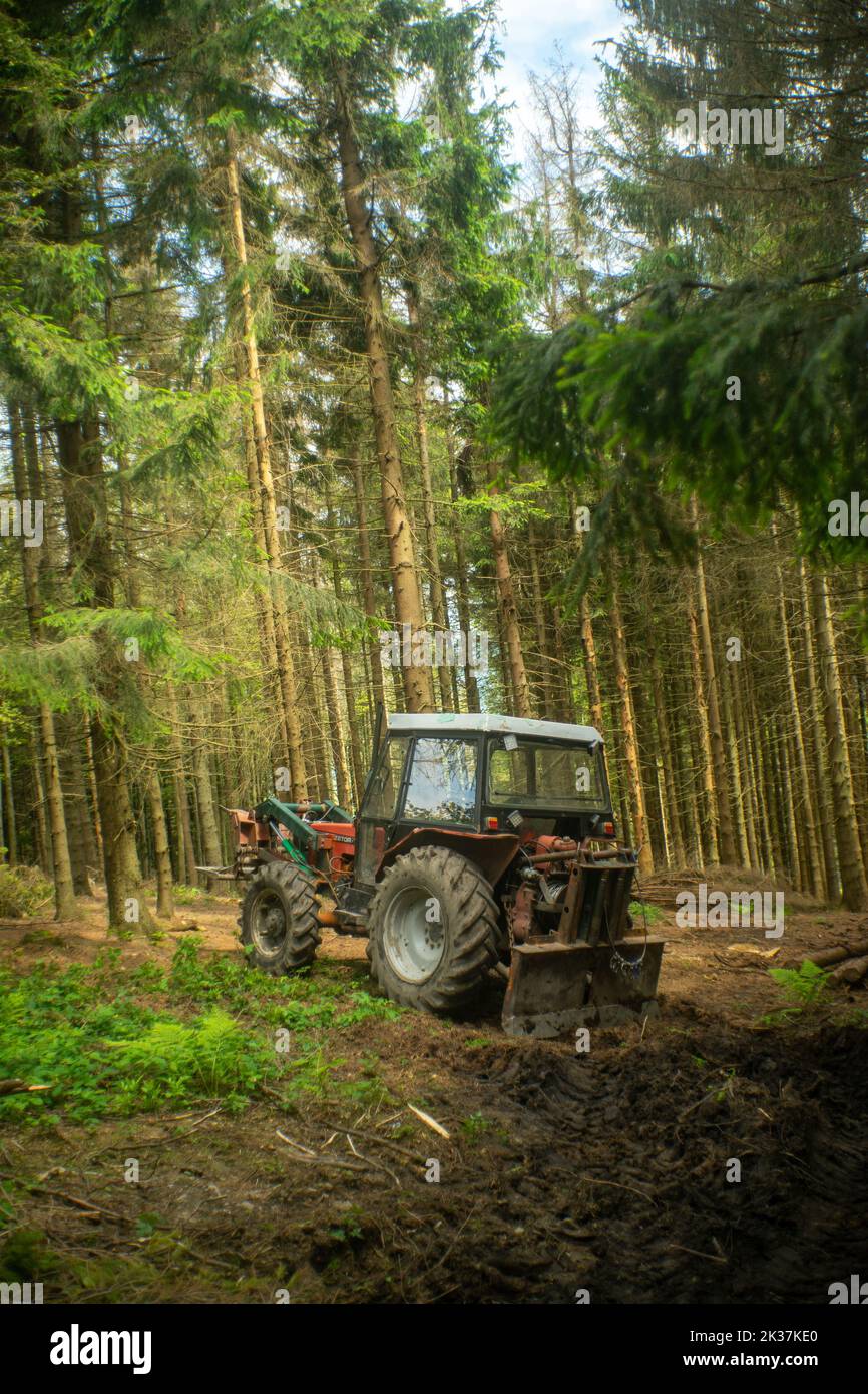 A vertical shot of a logging tractor parked in a forest Stock Photo - Alamy