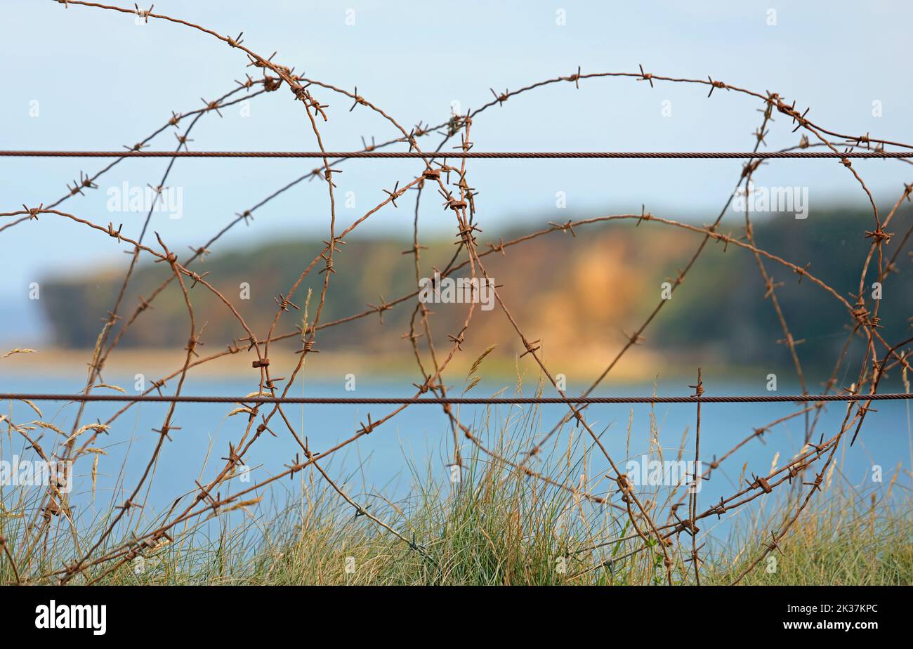 Barbed Wire Ww2 Barbed Wire Disease' During The First World War