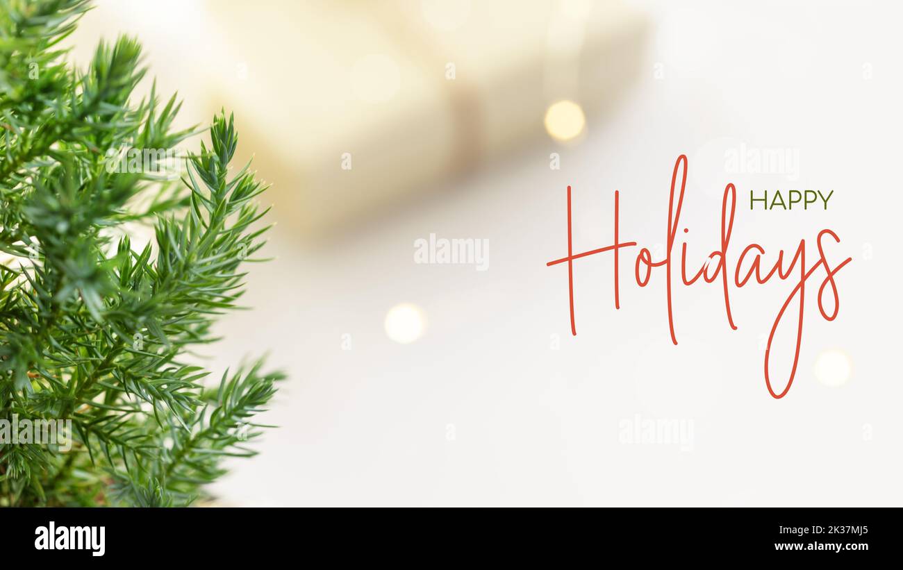 Christmas and New Year holiday card. A small, home planted new year ...