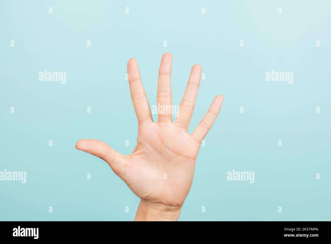 Hand gesture. Female hand shows number five. Woman hand pointing up ...