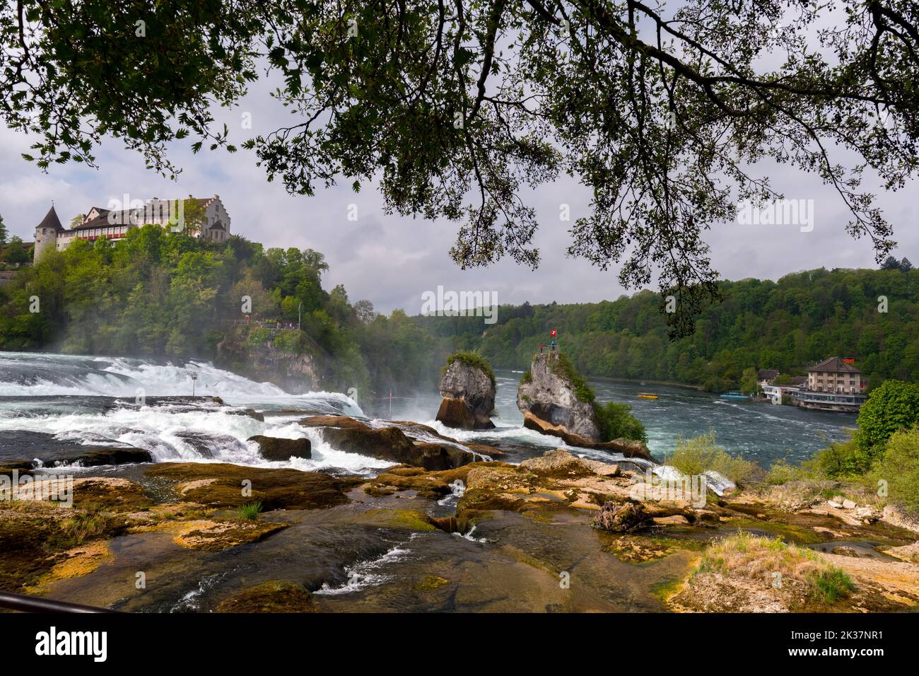 Rhine Falls Europe's largest waterfall, Canton of Schaffhausen ...