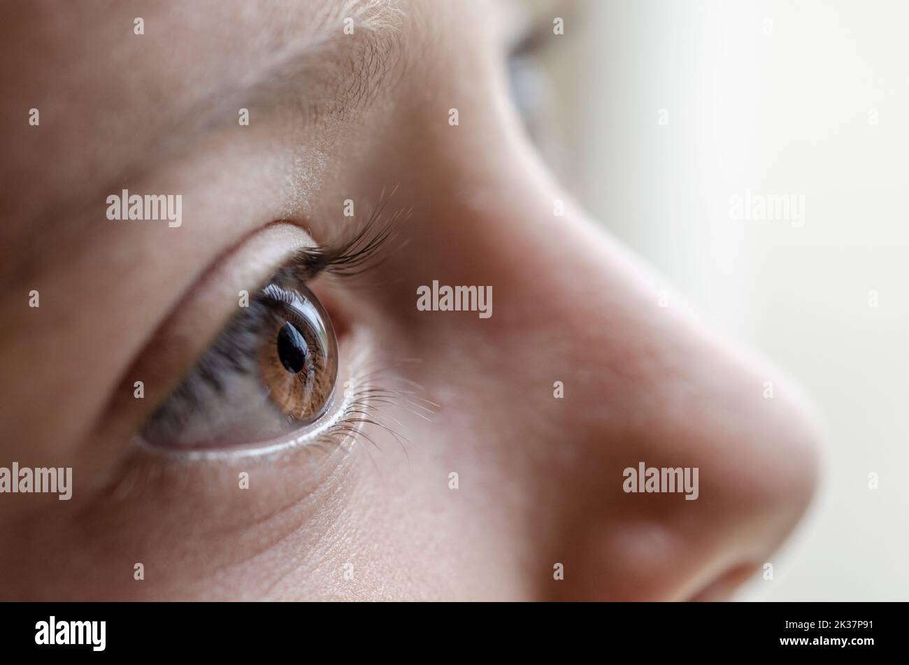 Extreme close-up of a beautifully colored human eye Stock Photo - Alamy