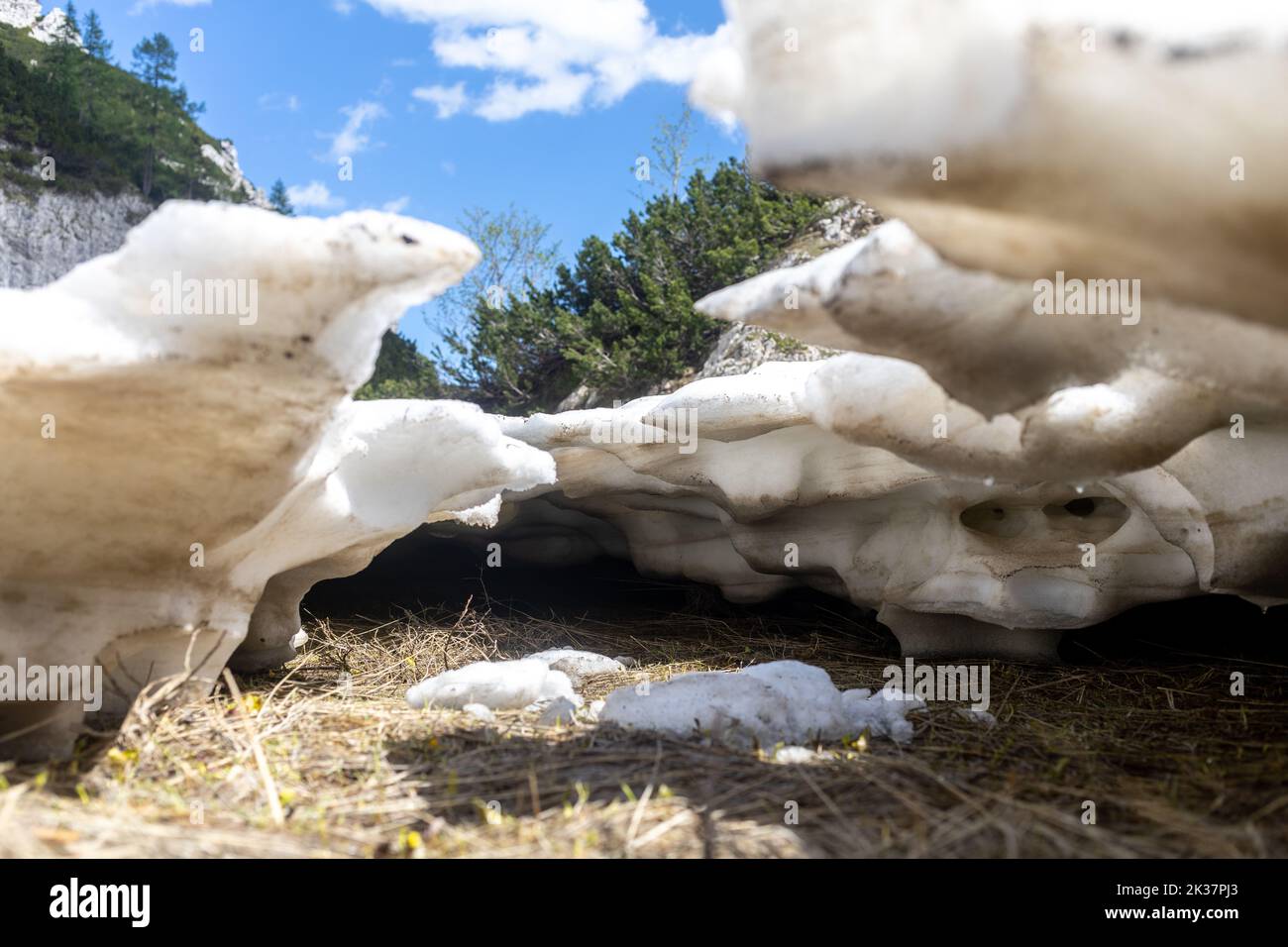 Spring thick layer of snow melting under sun Stock Photo - Alamy