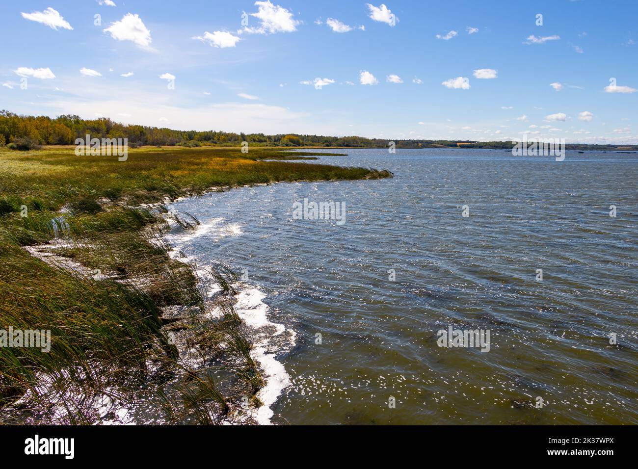 water on windy shoreline Stock Photo - Alamy