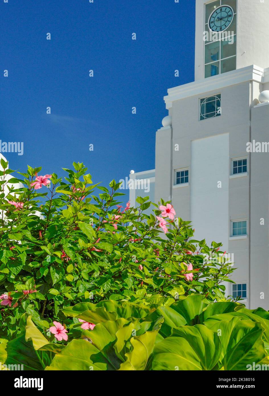 Hamilton Bermuda Close Up of Pastel Color Clock Tower Architecture with ...