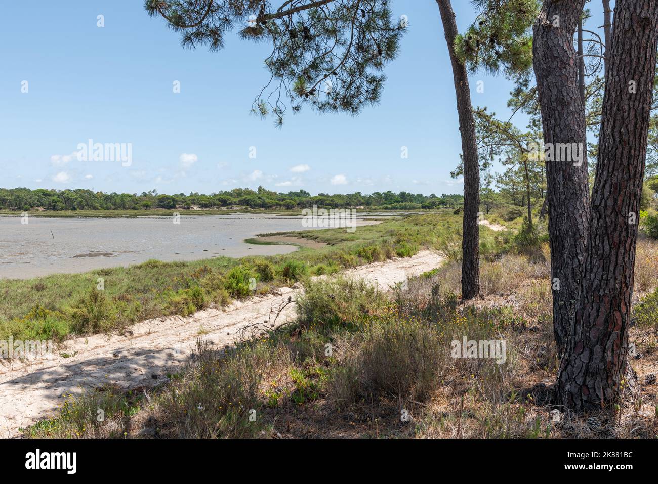 The Sado Estuary Natural Reserve in Comporta in Portugal with green ...