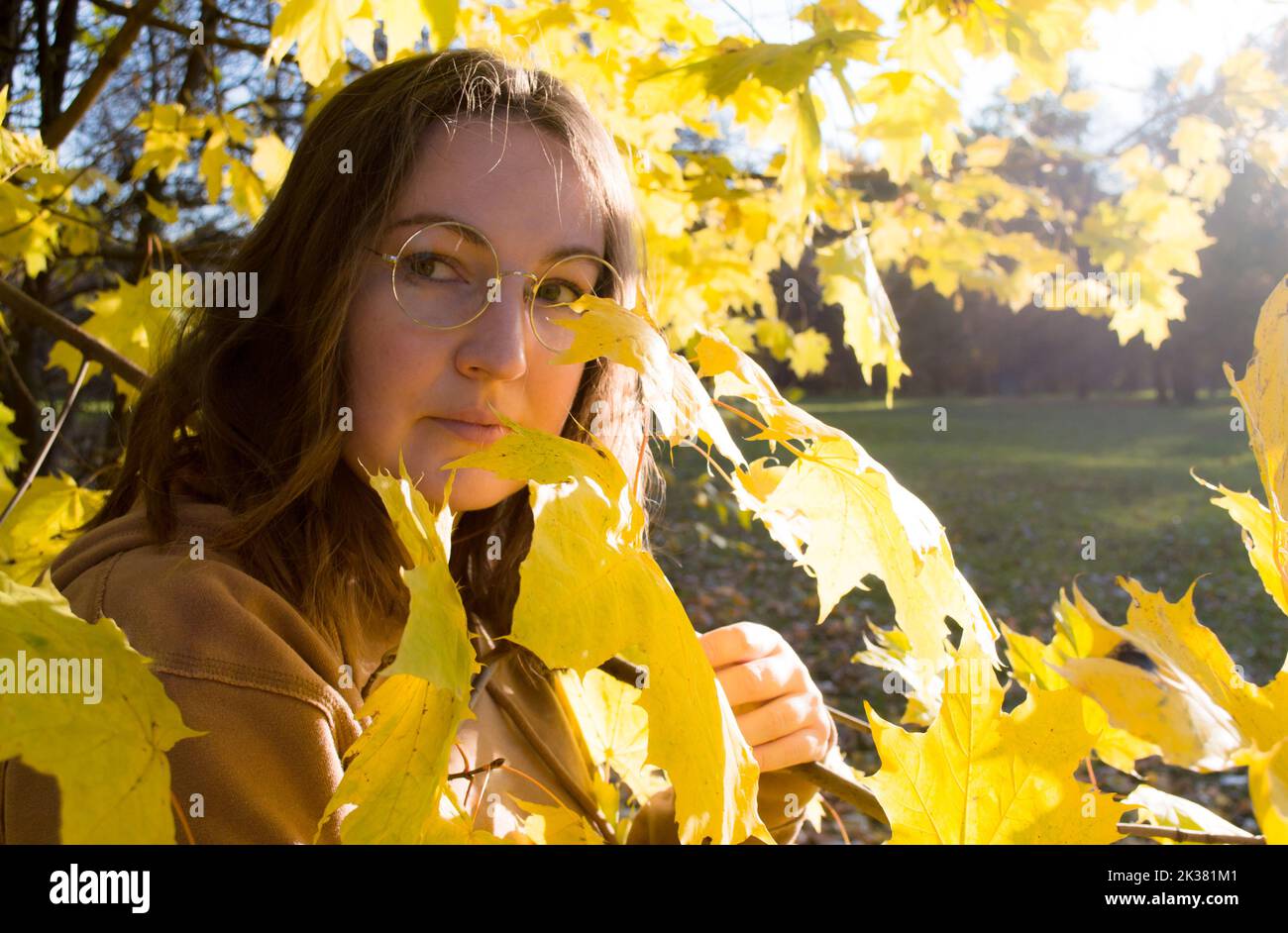 Portrait of a beautiful young woman in round glasses among yellow maple ...