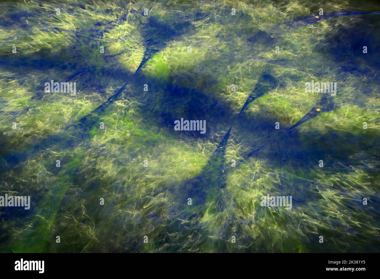 Abstract background shape design template, futuristic background ...