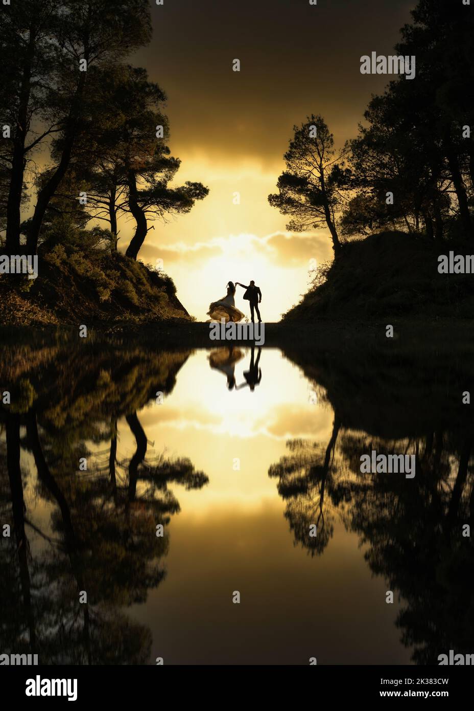 A vertical shot of the silhouette of a dancing couple on the shore of ...