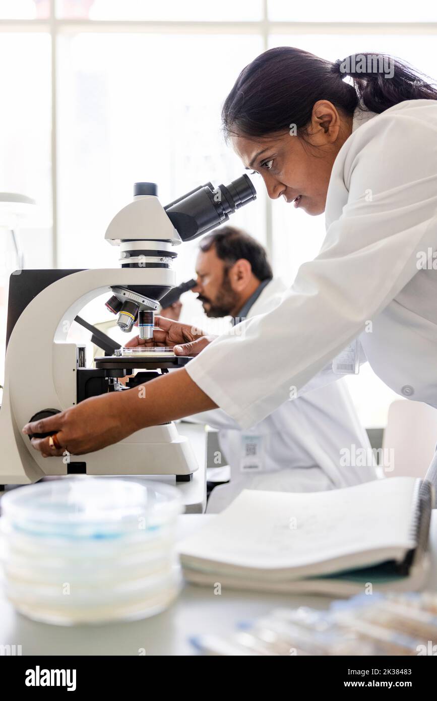 Looking down microscope microscopes hi-res stock photography and images - Alamy