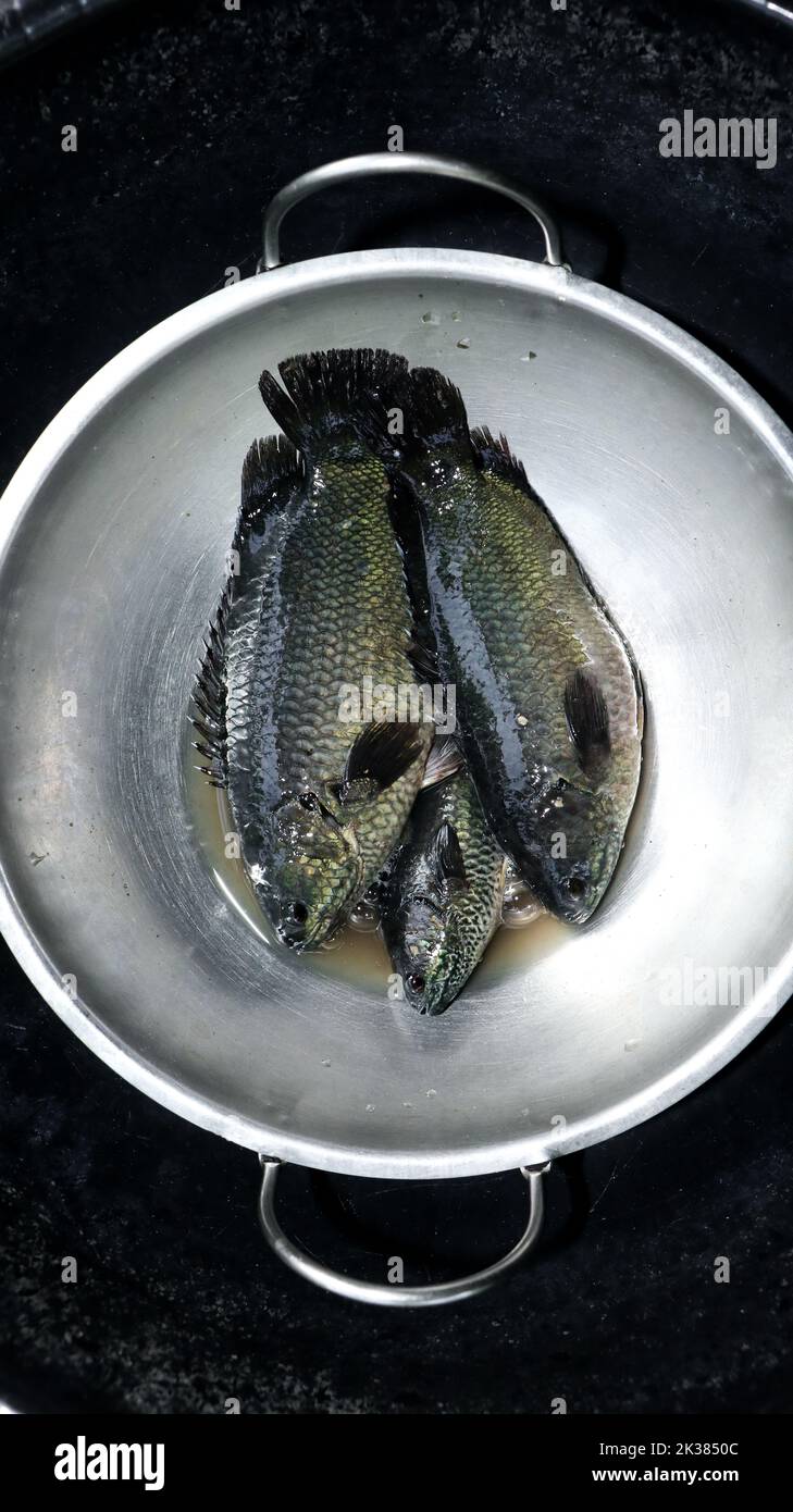 A vertical top view of tilapia fish in a silver pot Stock Photo - Alamy