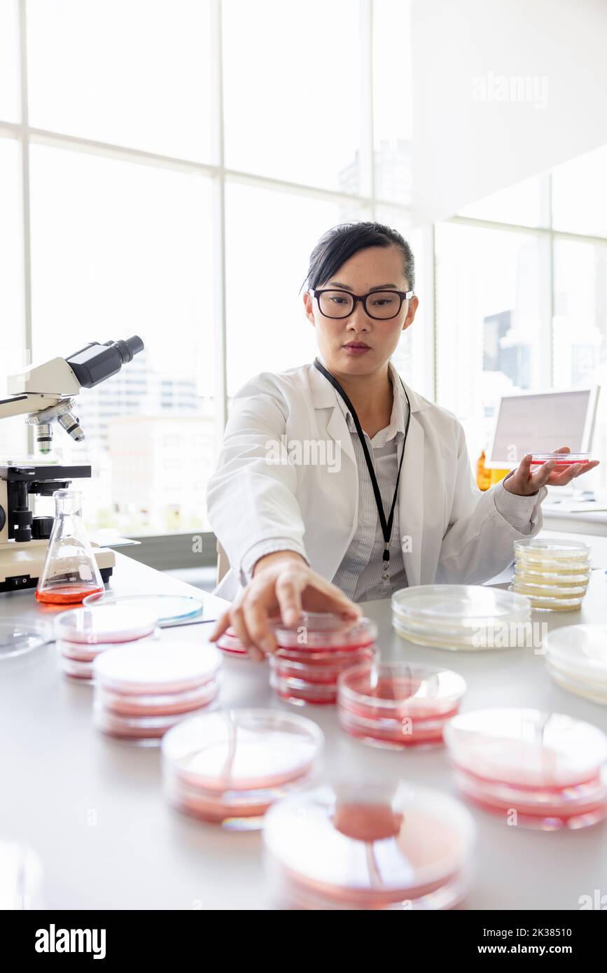 Laboratory dishes hi-res stock photography and images - Alamy
