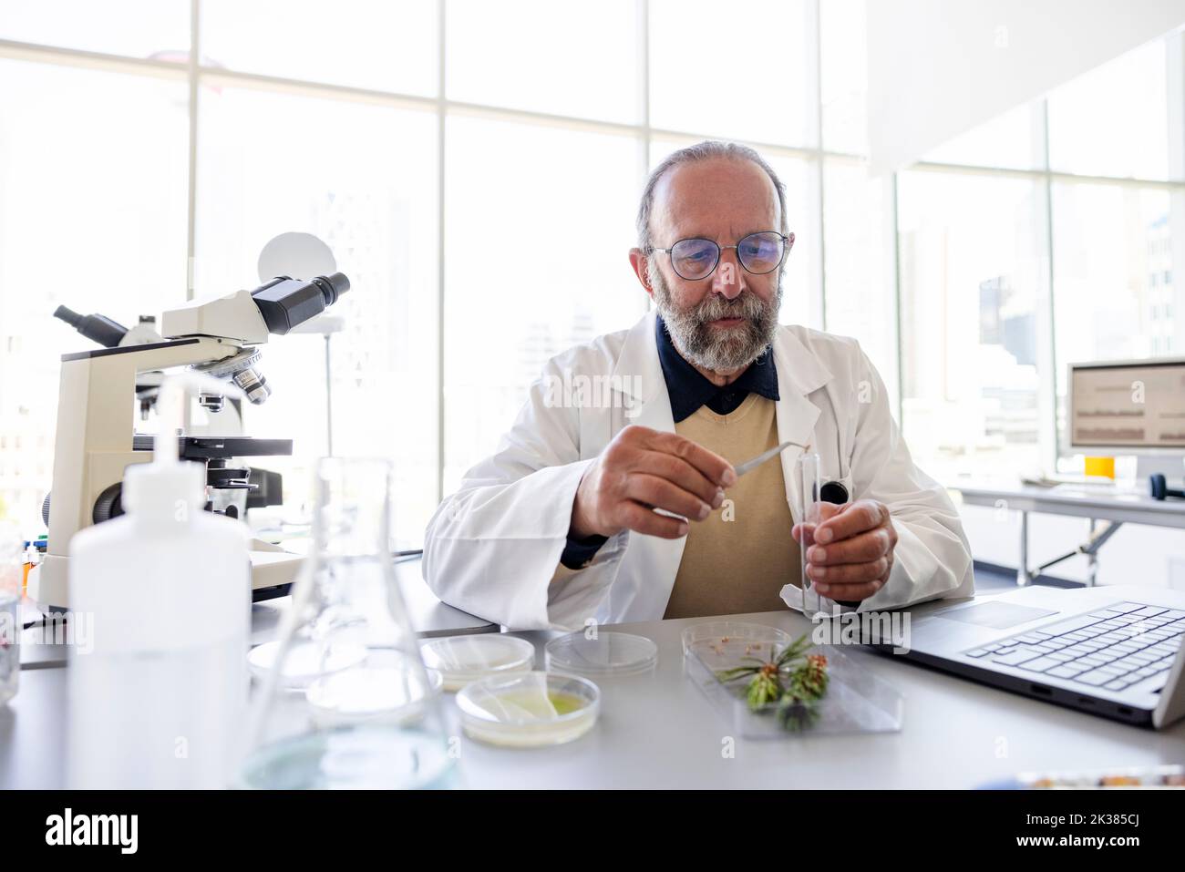 Skill testing hi-res stock photography and images - Alamy