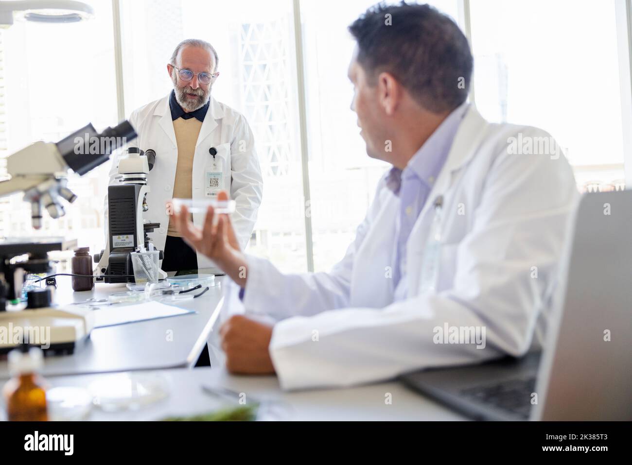 Laboratory scientists hi-res stock photography and images - Alamy