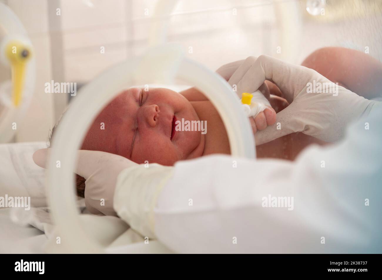 A newborn baby lies in boxes in the hospital. A child in an incubator ...