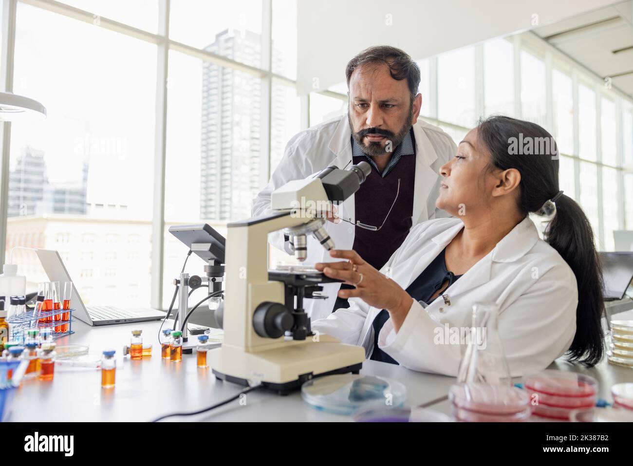 Laboratory scientists petri dish hi-res stock photography and images ...