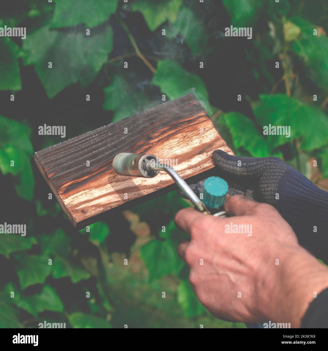 Professional carpenter using old traditional technique. Burning wood ...