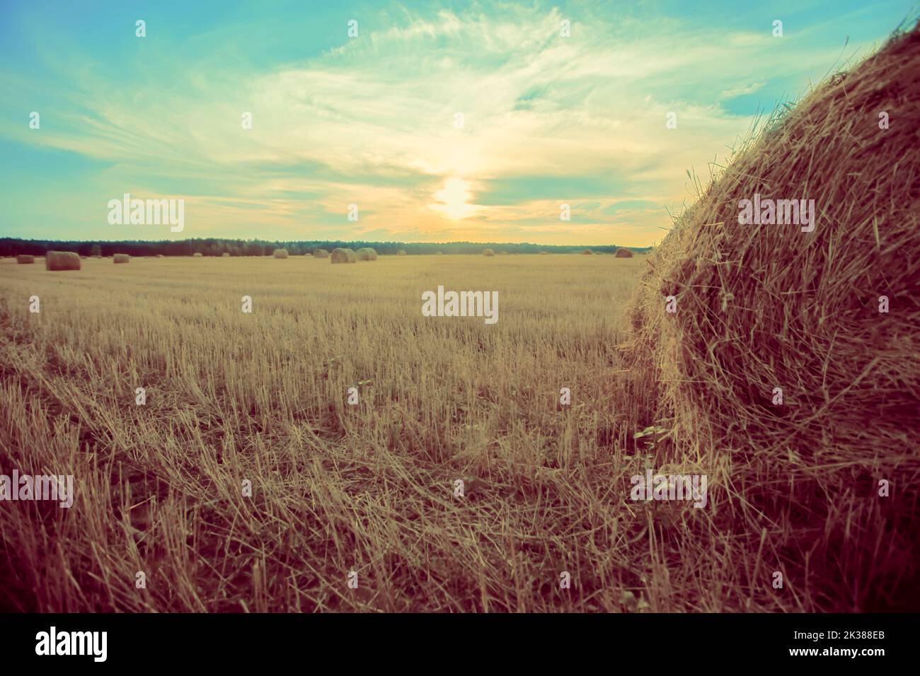 Vintage rustic haystack background against an emerald sky Stock Photo ...