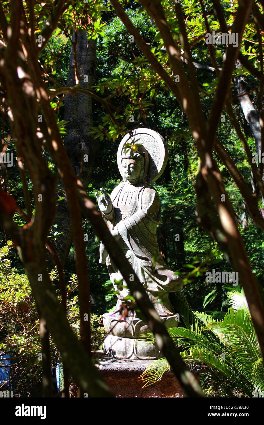 A vertical shot of the statue visible through the tree branches Stock ...
