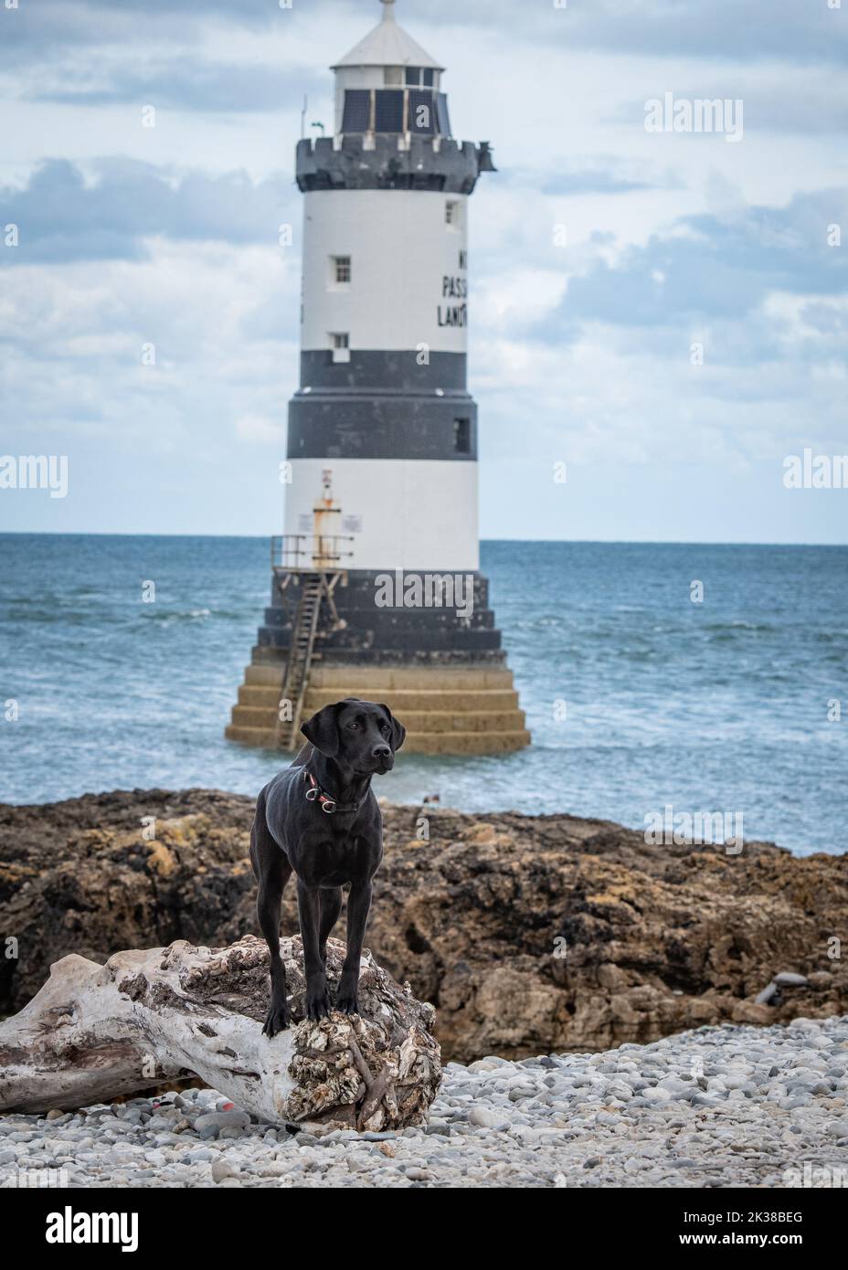Penmon Lighthouse / Trwyn Du Lighthouse Stock Photo - Alamy