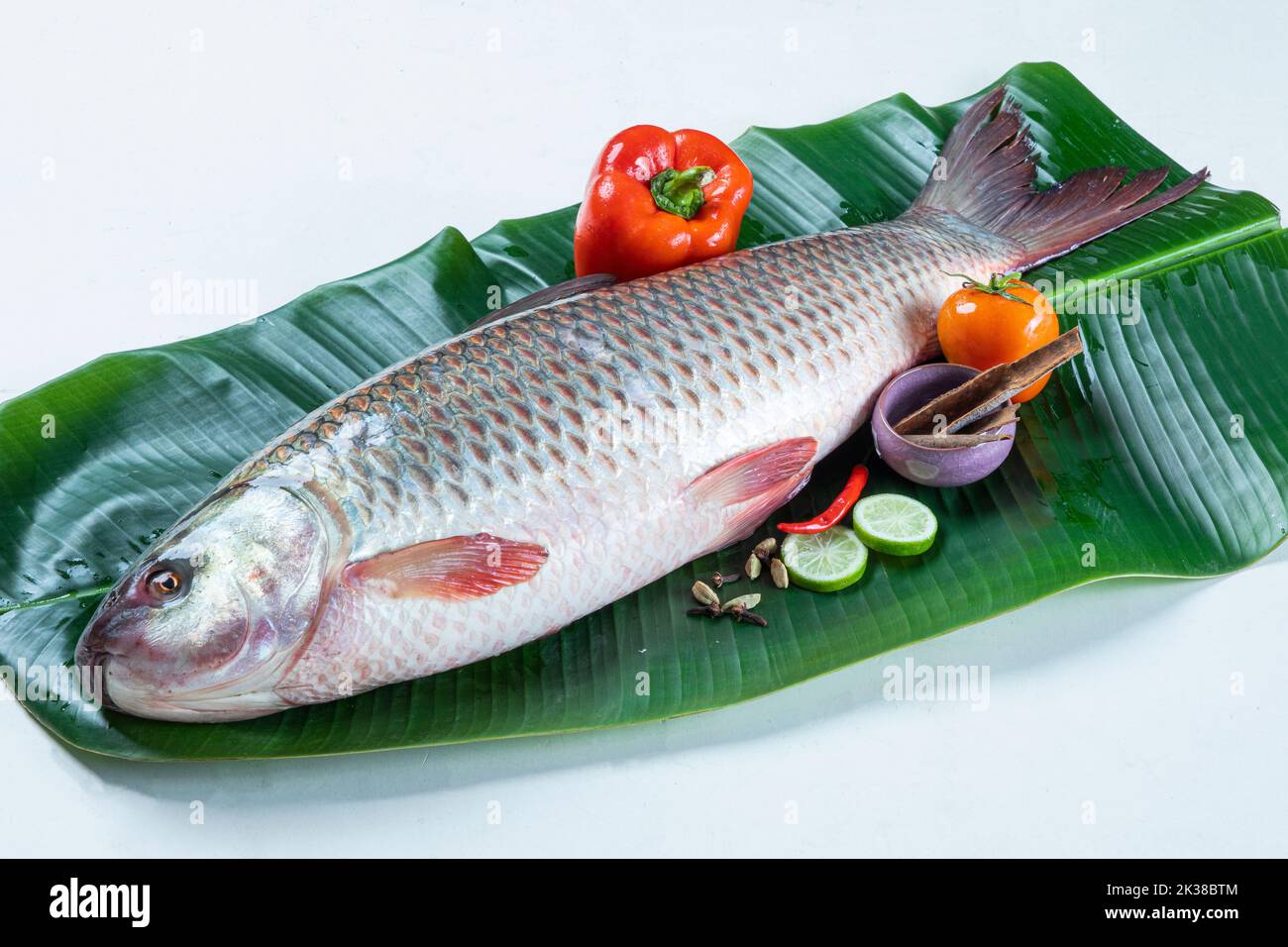 ruhu rui fish Bangladesh fresh water fish isolated on white background ...
