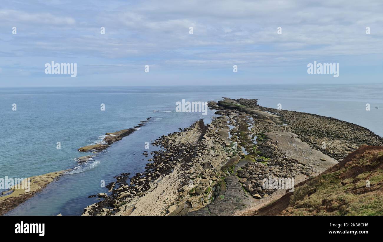An aerial view of sea surrounded by greenery beach in Flamborough Stock ...