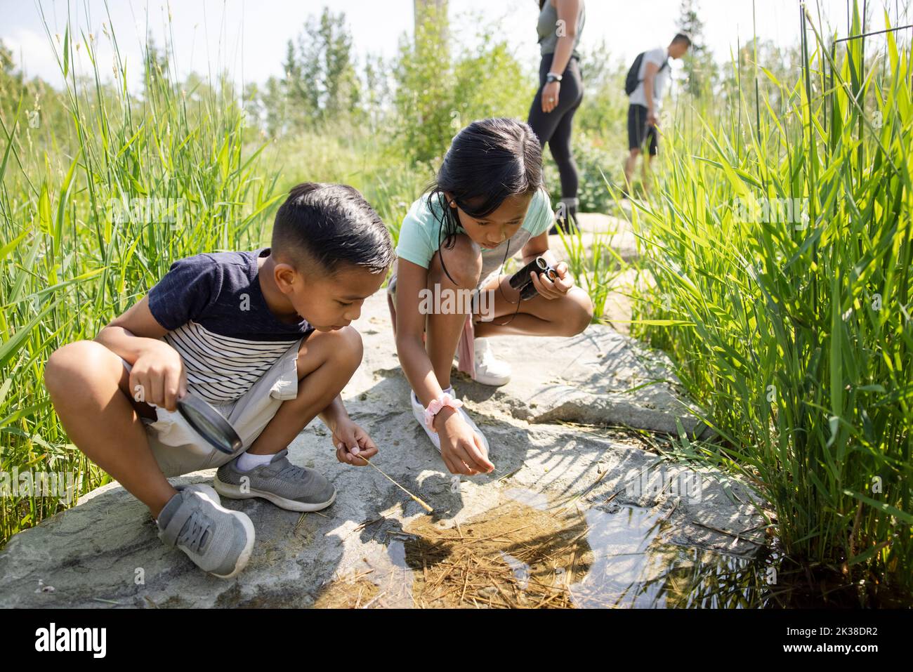 Looking at rock with magnifying glass hi-res stock photography and ...