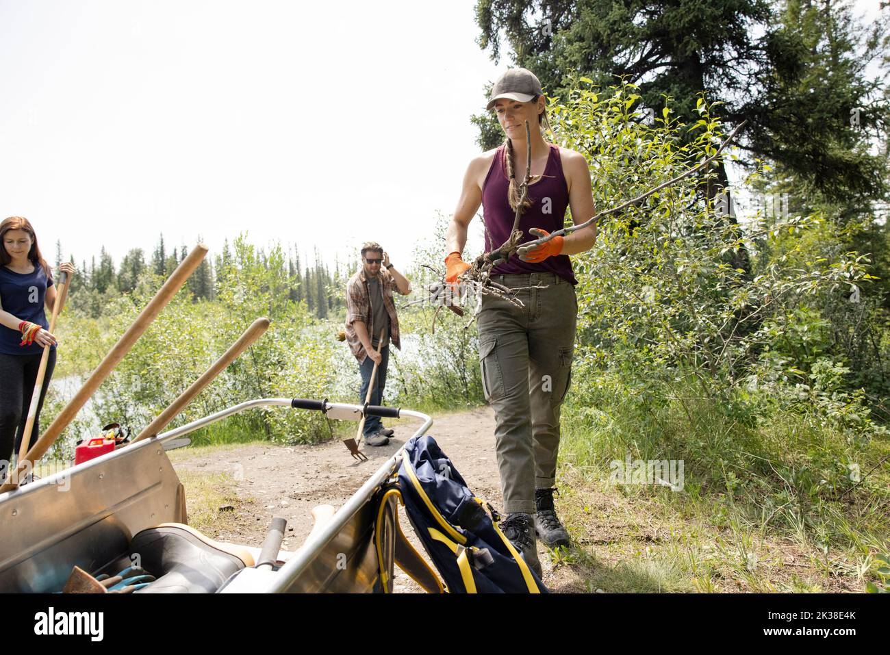 Clearing forest volunteers hi-res stock photography and images - Alamy
