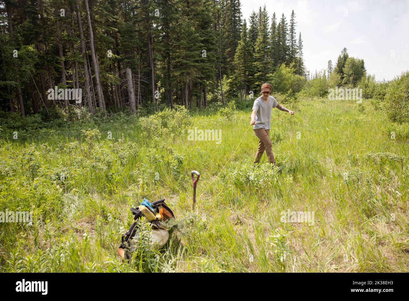 Using the forest hi-res stock photography and images - Alamy