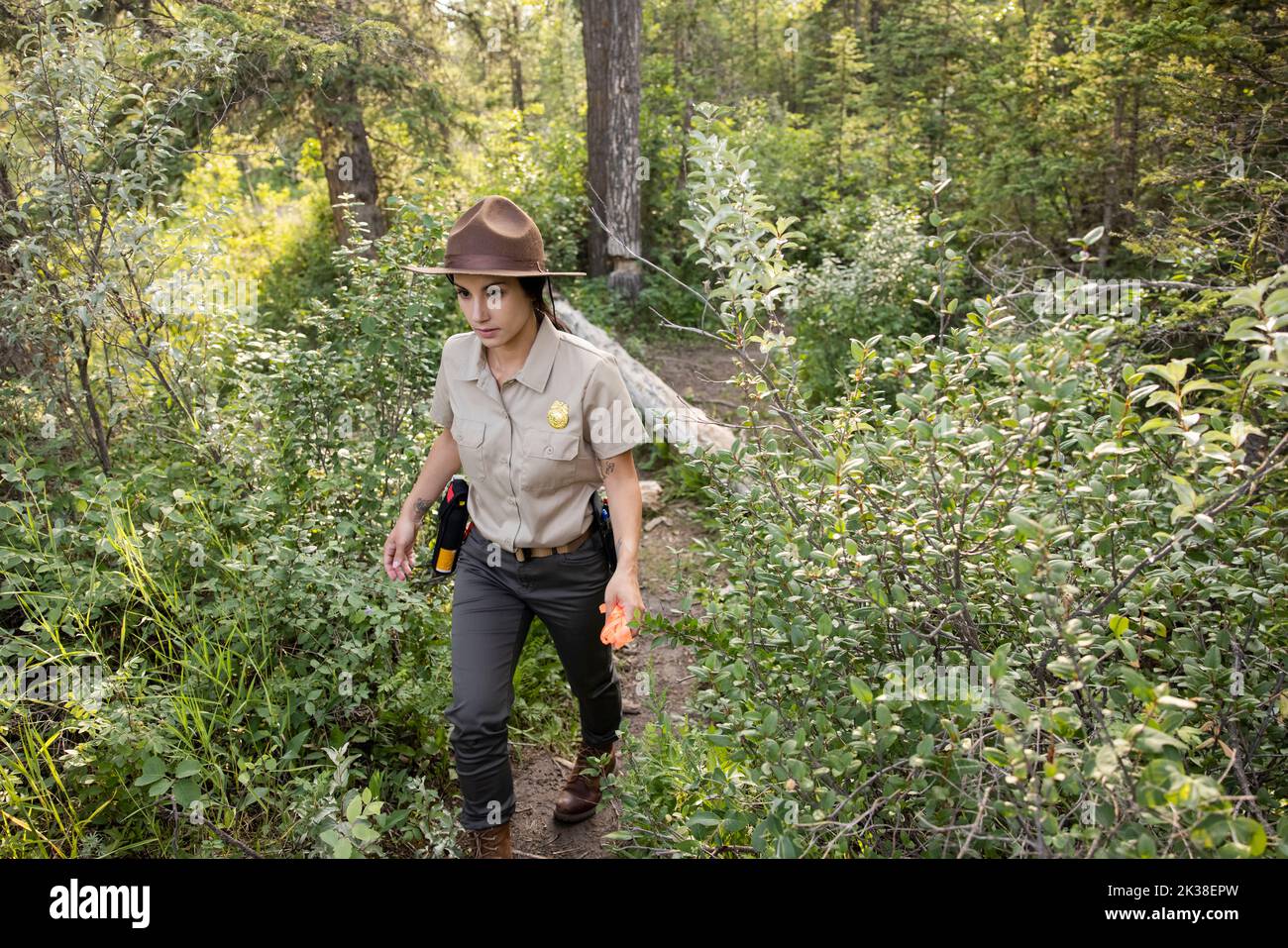 Conservation rangers hi-res stock photography and images - Alamy