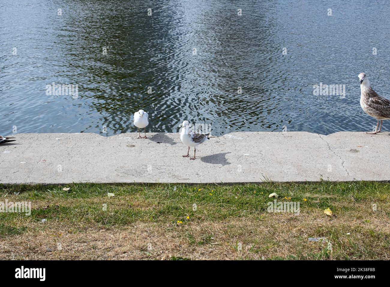 Concrete parapet hi-res stock photography and images - Alamy