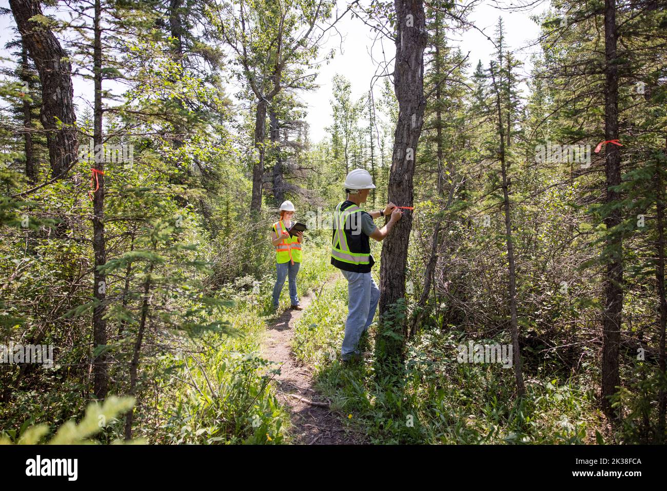Woman in work environment hi-res stock photography and images - Alamy