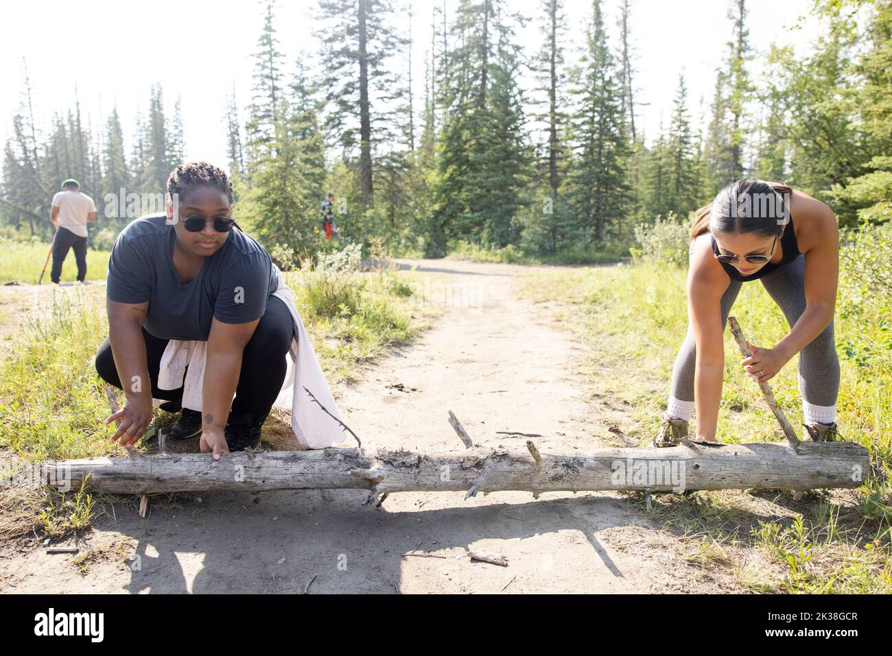 Asian forest path hi-res stock photography and images - Alamy