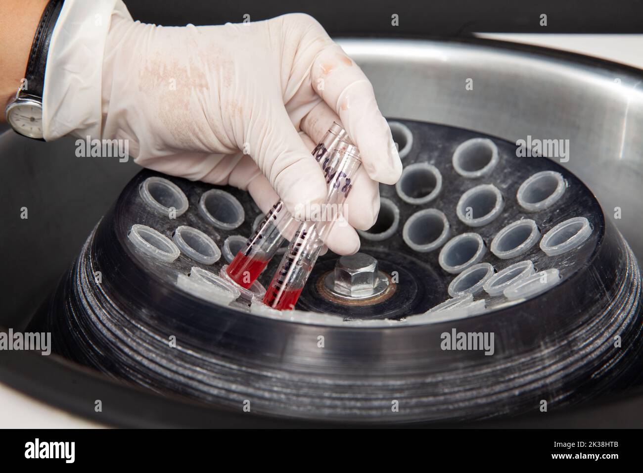 Scientist placing some test tubes into the centrifuge. Scientist ...