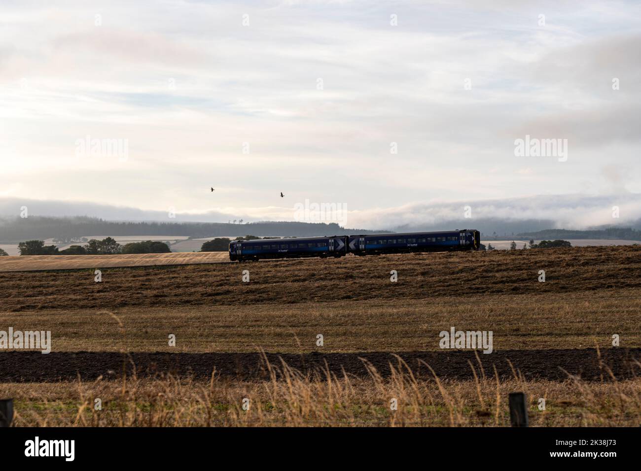 Cereal grain grown near Dalmore, train in the Inverness and Ross-shire ...